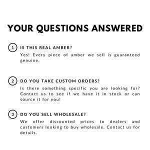 Ephemeroptera (mayfly), Fossil Insect Inclusion in Burmese Amber - Etsy