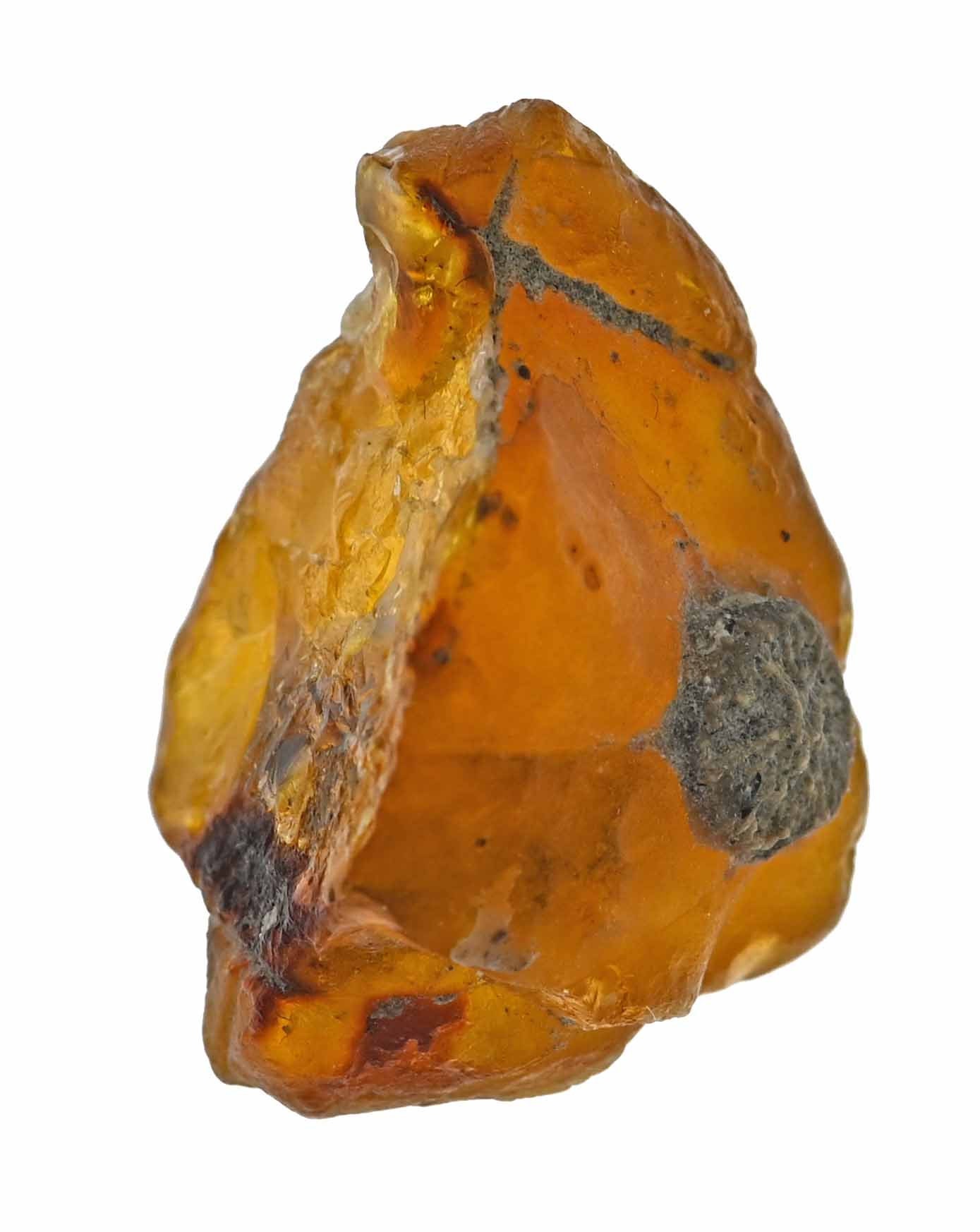 Raw Burmese Amber With Rare Fossil Crinoid - Etsy