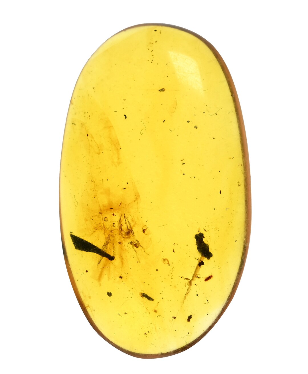 Araña: inclusión de insectos fósiles en ámbar birmano - Etsy México