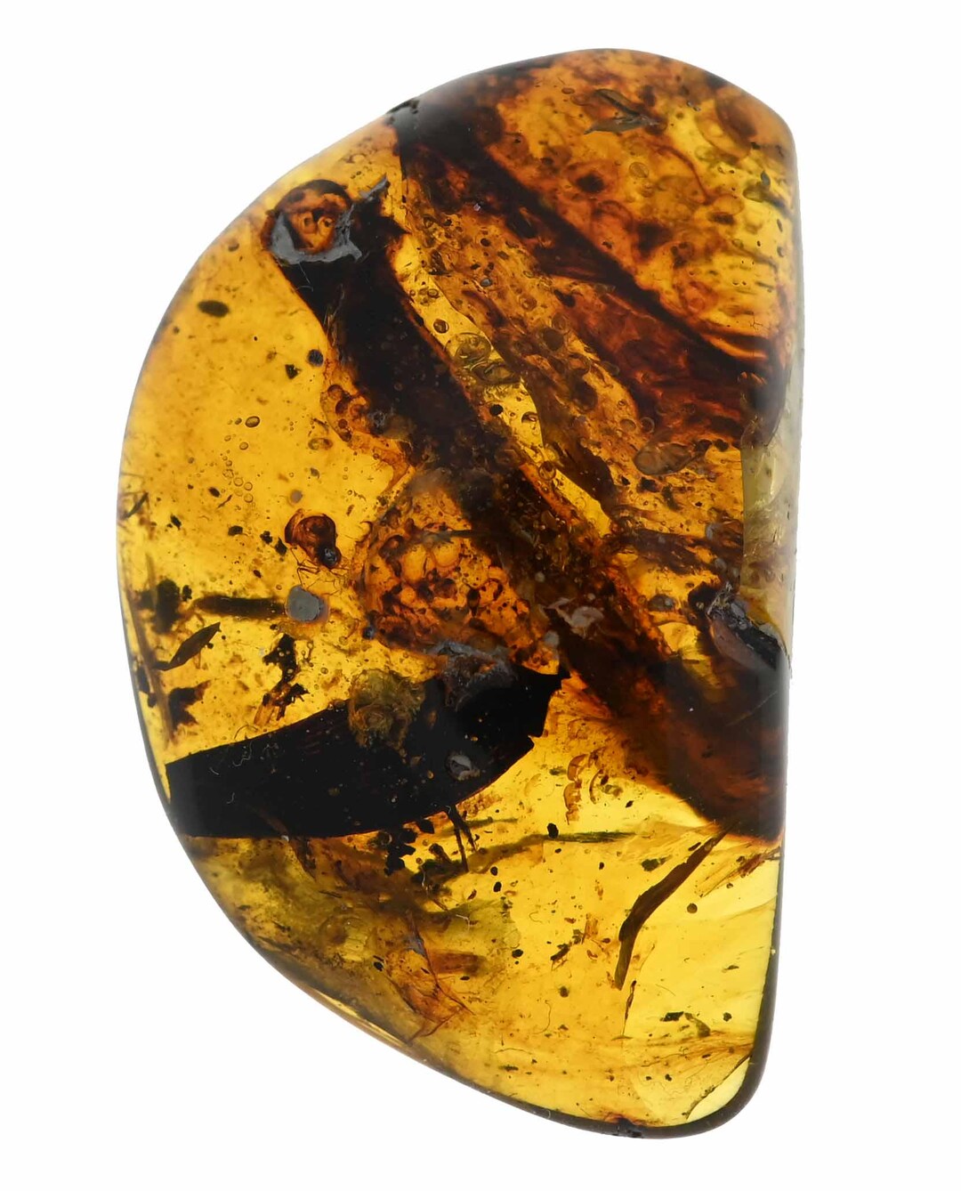 Botanical Grass Blades and Leaves, Fossil Inclusion in Burmese Amber - Etsy