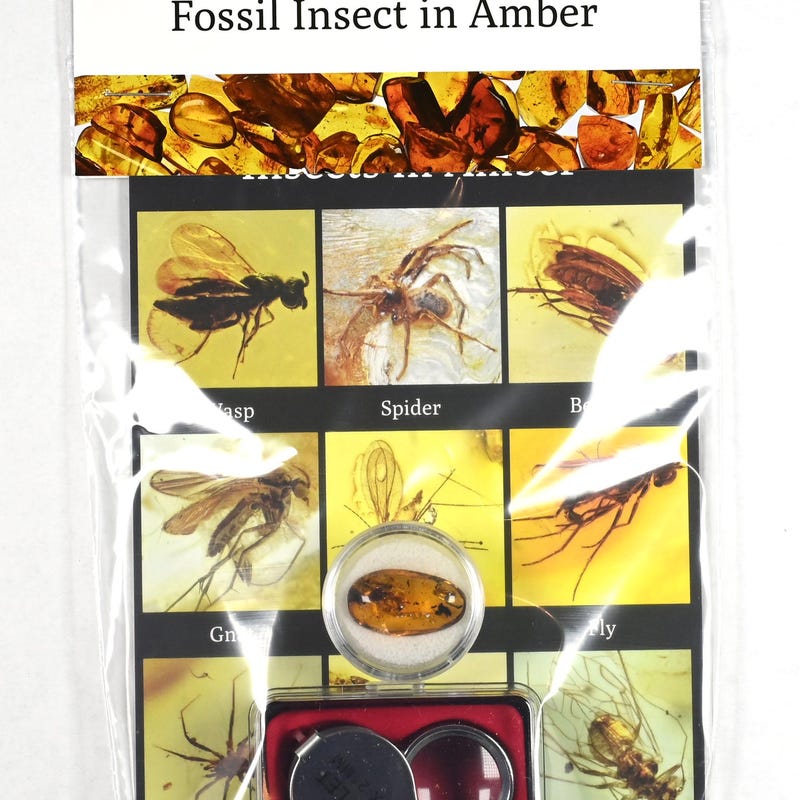 Myanmar Amber Jewelry - Etsy