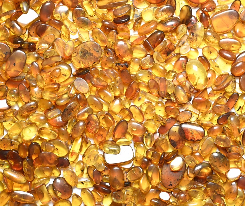 GENUINE Fossil Insect Inclusion in Burmese Amber Kit Includes Magnifier ...