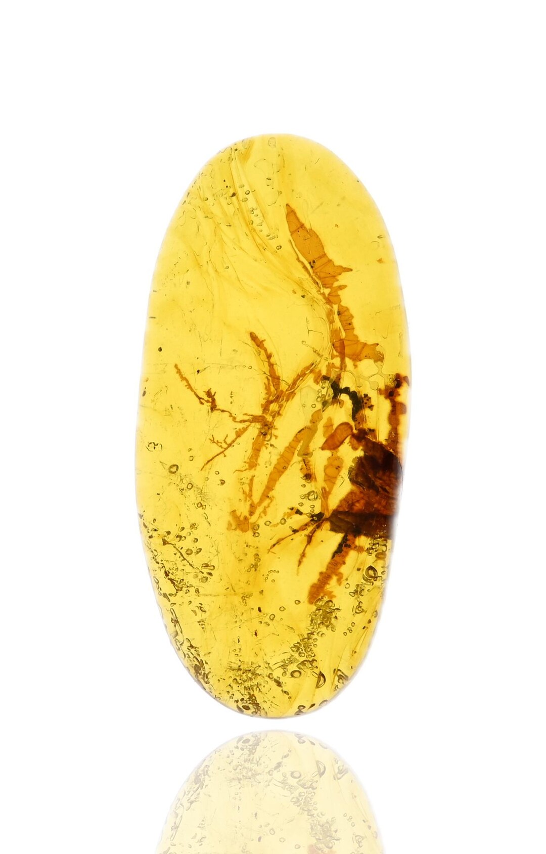 Unusual Inclusion, Fossil Insect Inclusions in Burmese Amber - Etsy