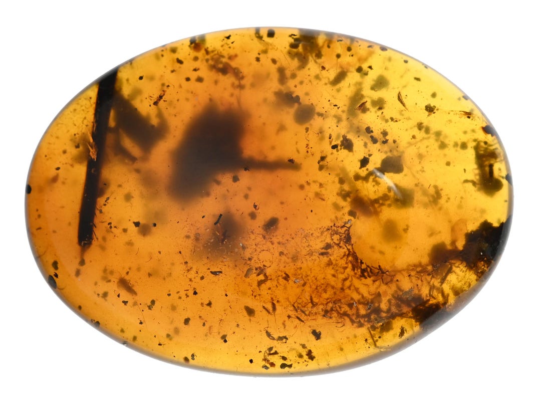Huge Swarm of Springtails, Fossil Inclusion in Burmese Amber - Etsy