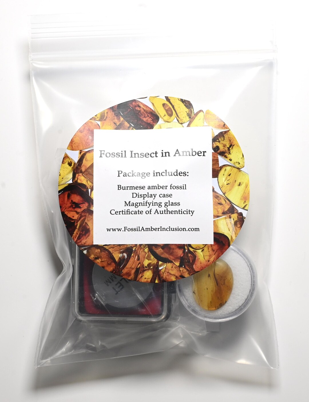 GENUINE Fossil Insect Inclusion in Burmese Amber Kit - Includes ...