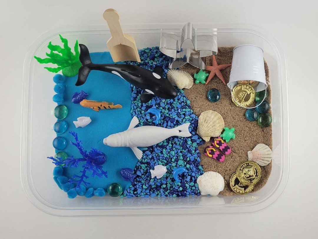 Ocean Sensory Bin, Kinetic Sand Kit, Play Dough Kit, Playdough Kit ...