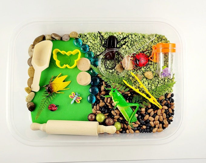 Insect Play Dough Kit, Bugs Play Dough Kit, Insects Playdough Kit, Bugs ...