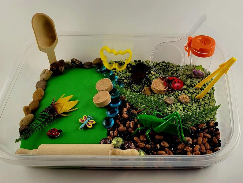Bugs Sensory Bin, Spring Sensory Kit, Kids Gift, Insects Sensory Bin ...