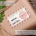 Christmas Gift Labels Template Printable Special Delivery Stickers Tags ...