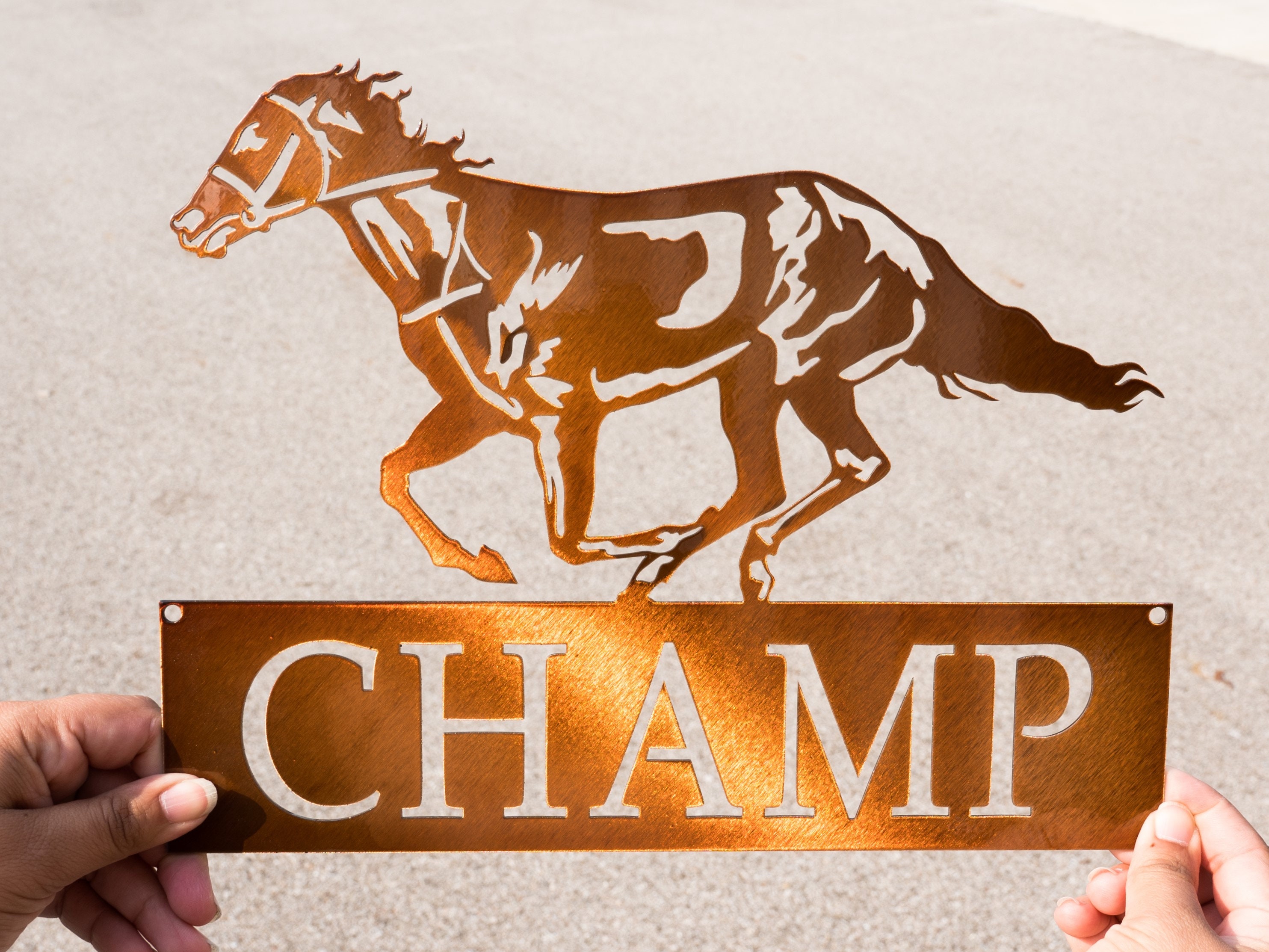 Personalized Horse Sign Metal Horse Sign Horse Name Sign - Etsy