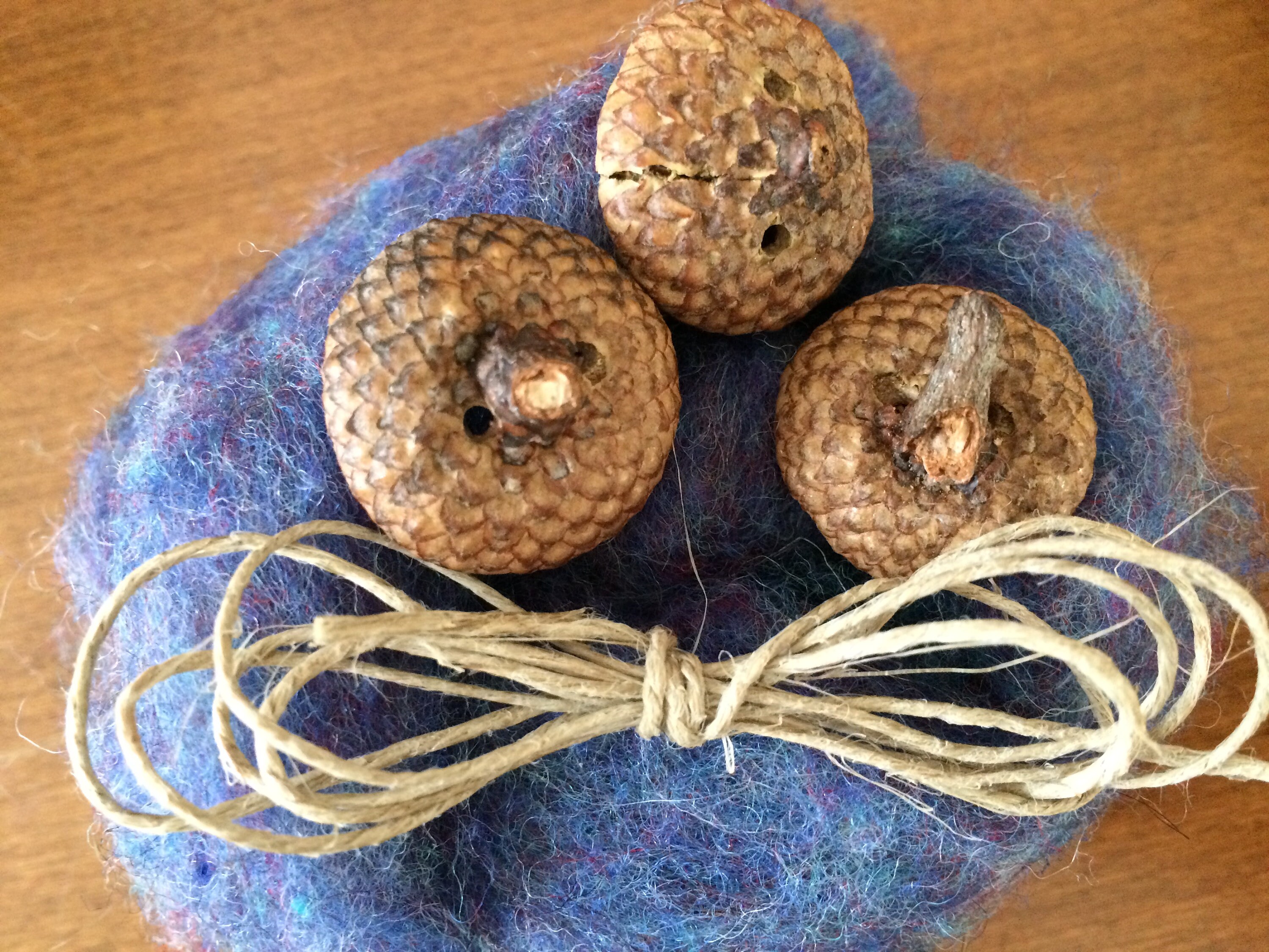 DIY Felted Acorn Kit | Etsy