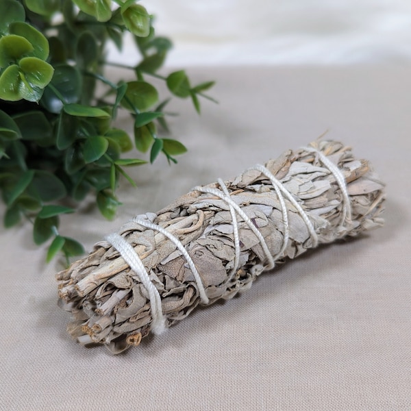 White Sage Bundle - Etsy