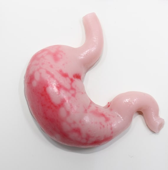 Anatomically Correct Solid Resin Miniature Organs. | Etsy