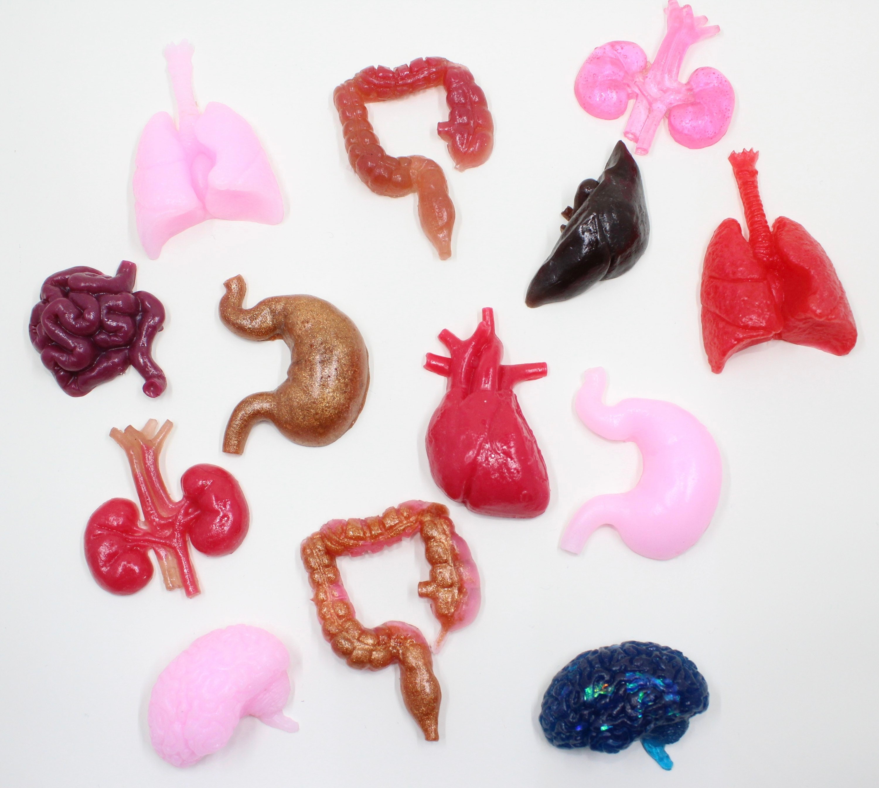Anatomically Correct Solid Resin Miniature Organs. - Etsy