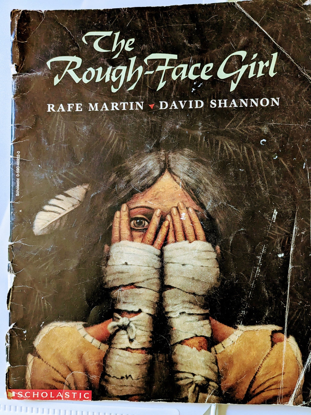 Book, the Rough Face Girl Book - Etsy