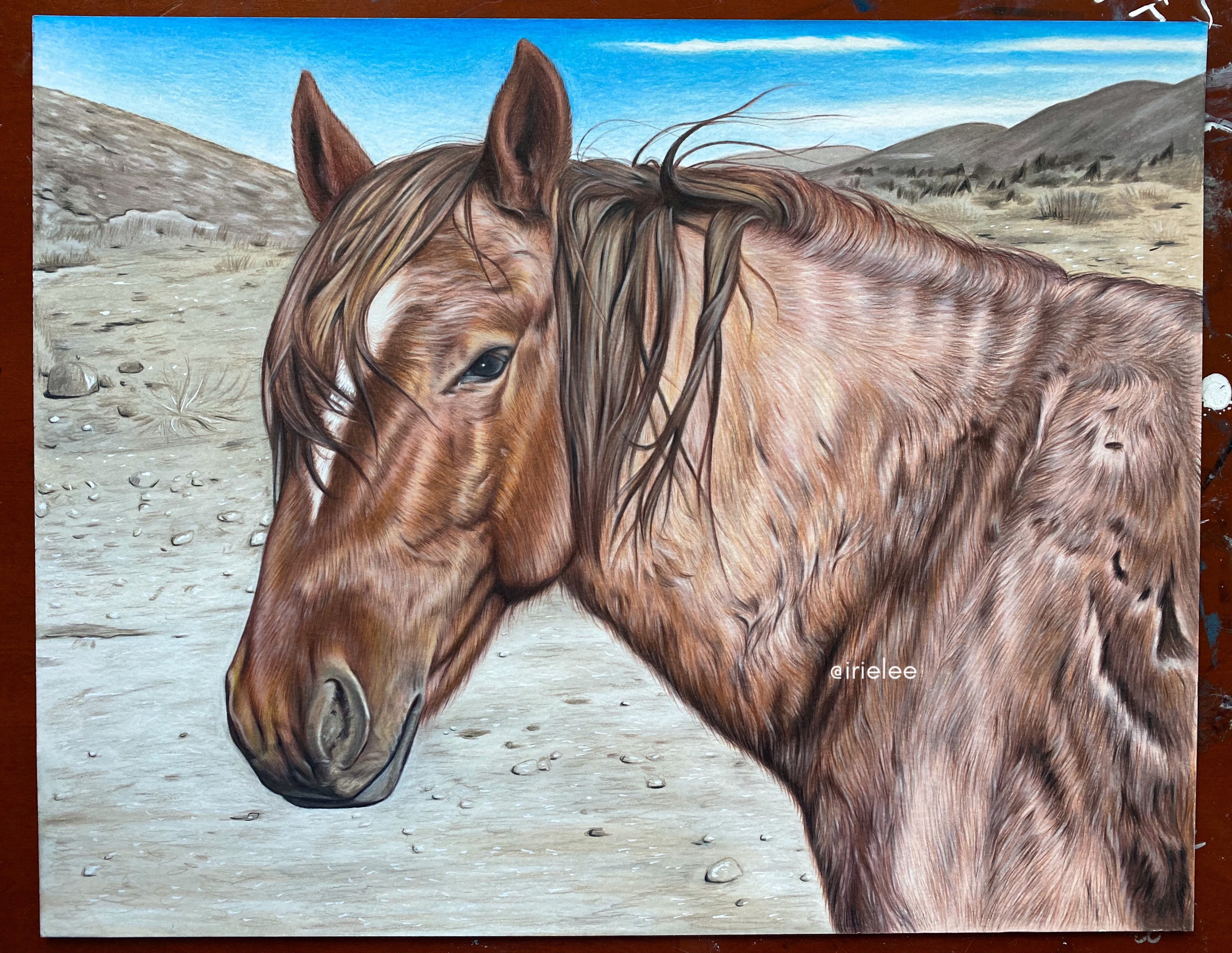 Original “homeland” Colored Pencil Drawing of a Mustang - Etsy