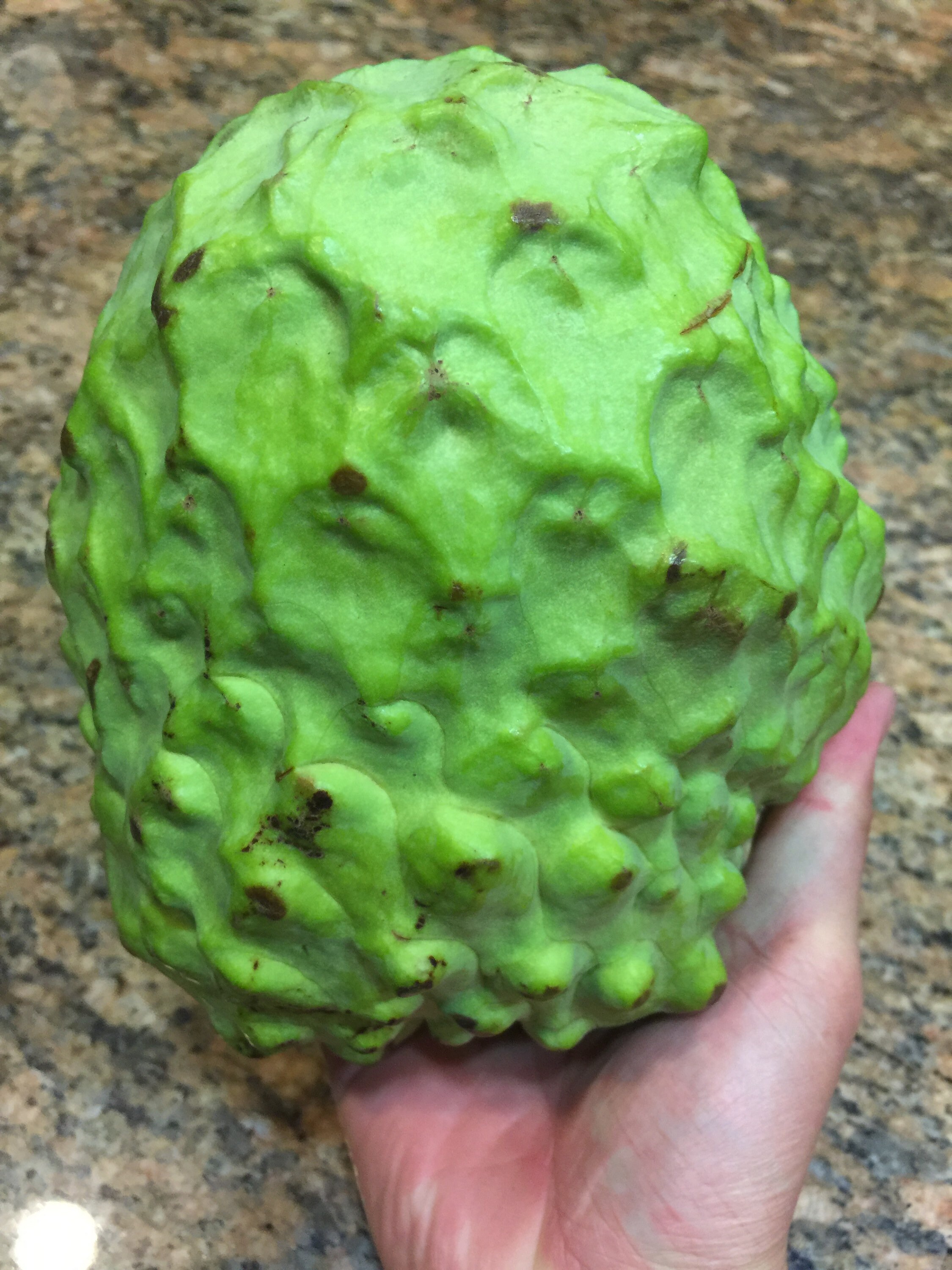 Atemoya Vs Cherimoya