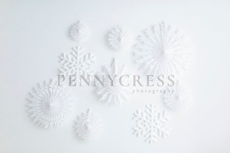 Winter Snowflake Digital Photography Background. Christmas Mini Session ...