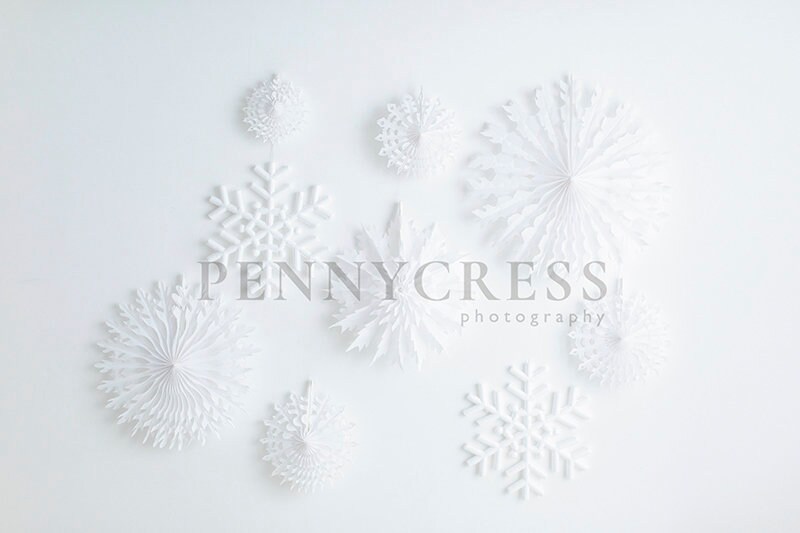 Winter Snowflake Digital Photography Background. Christmas Mini Session ...