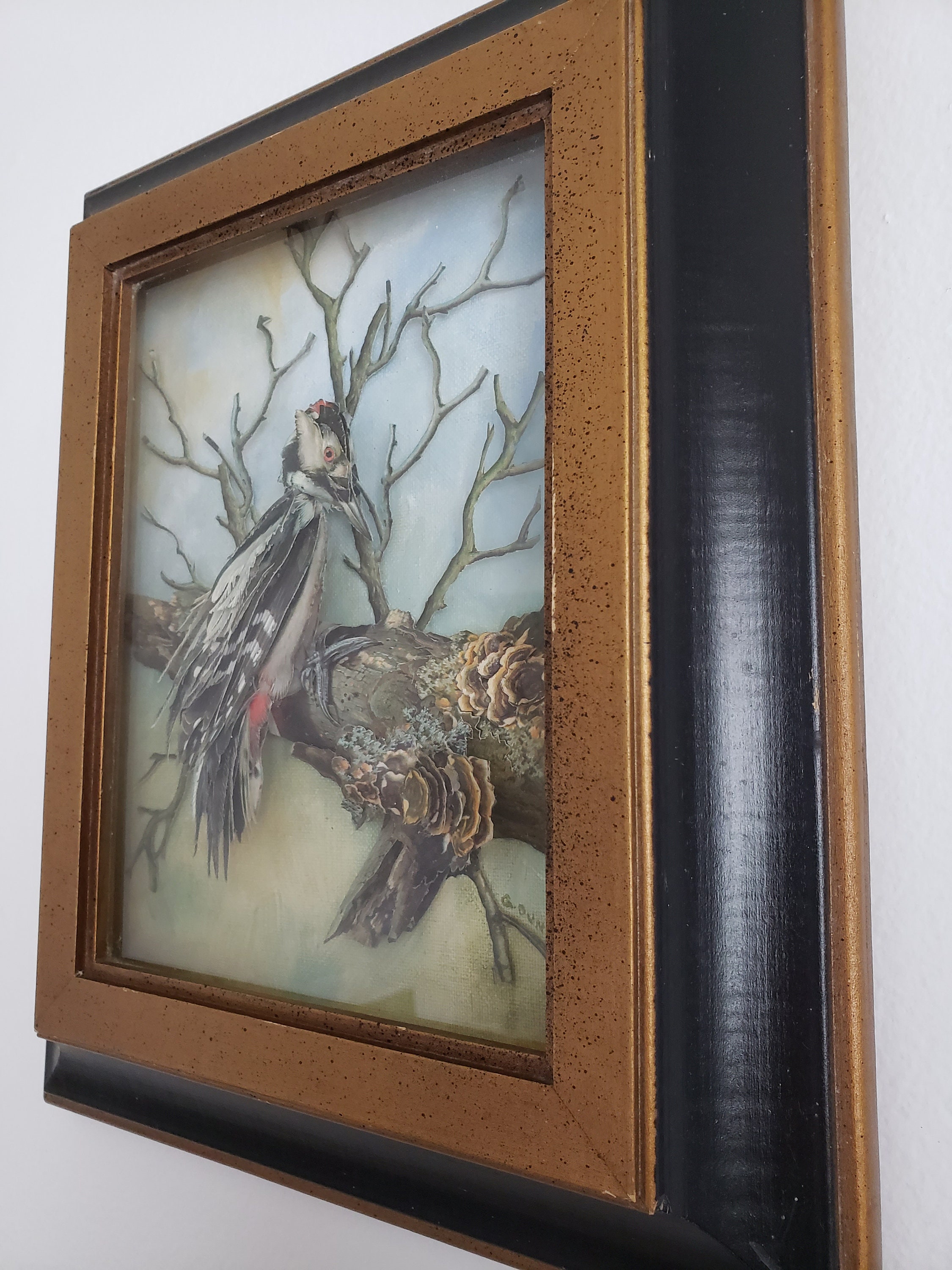 Basil Ede Bird Print in Paper Cut 3D Decoupage Shadow Box Great Spotted ...