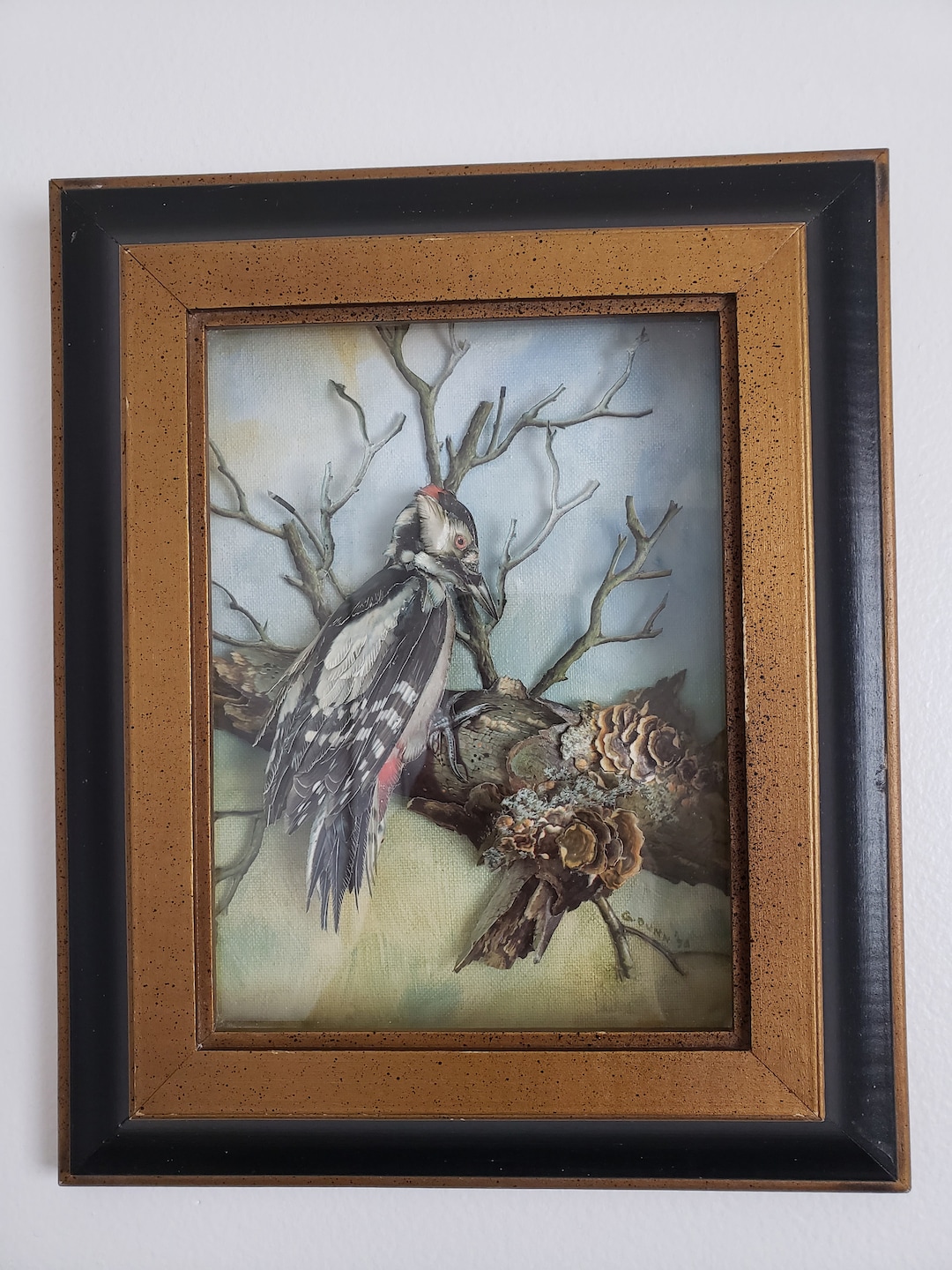 Basil Ede Bird Print in Paper Cut 3D Decoupage Shadow Box Great Spotted ...
