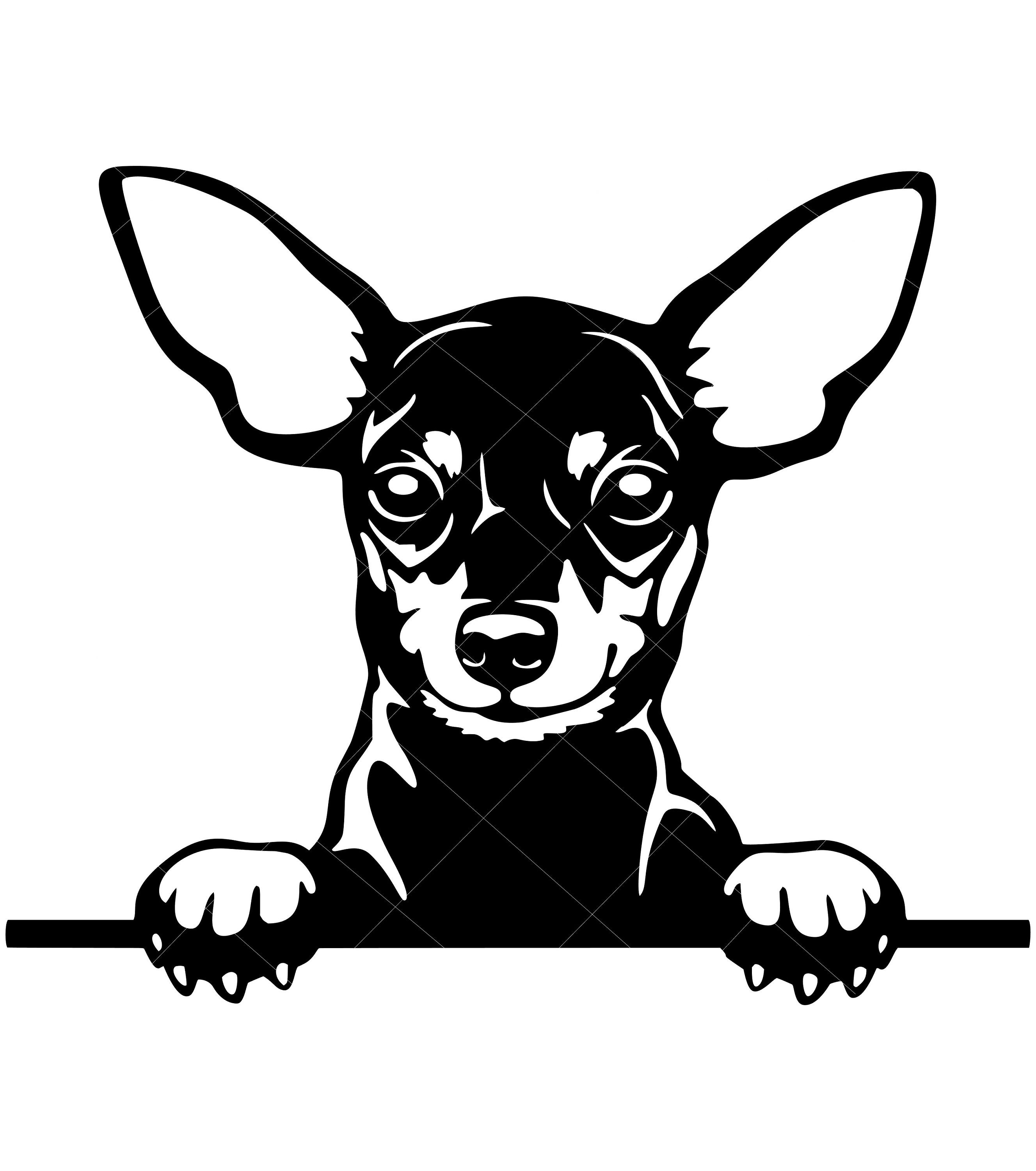 Min Pin Miniature Pinscher Dog Peekaboo SVG Cut file PNG Black | Etsy Min Pin Miniature Pinscher Dog Peekaboo SVG Cut file PNG Black | Etsy