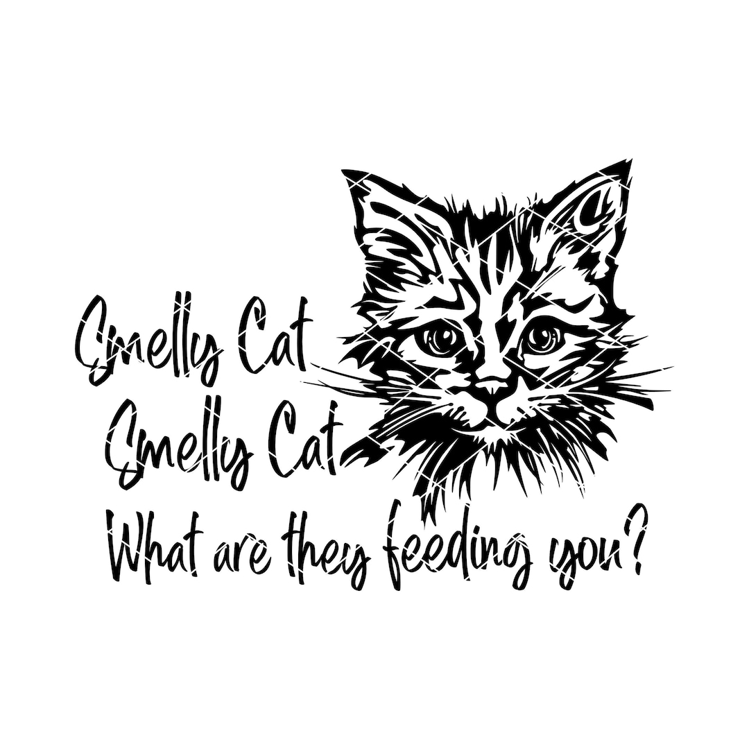 Friends Smelly Cat Song Design PNG SVG Cut File Clipart Clip Art for ...