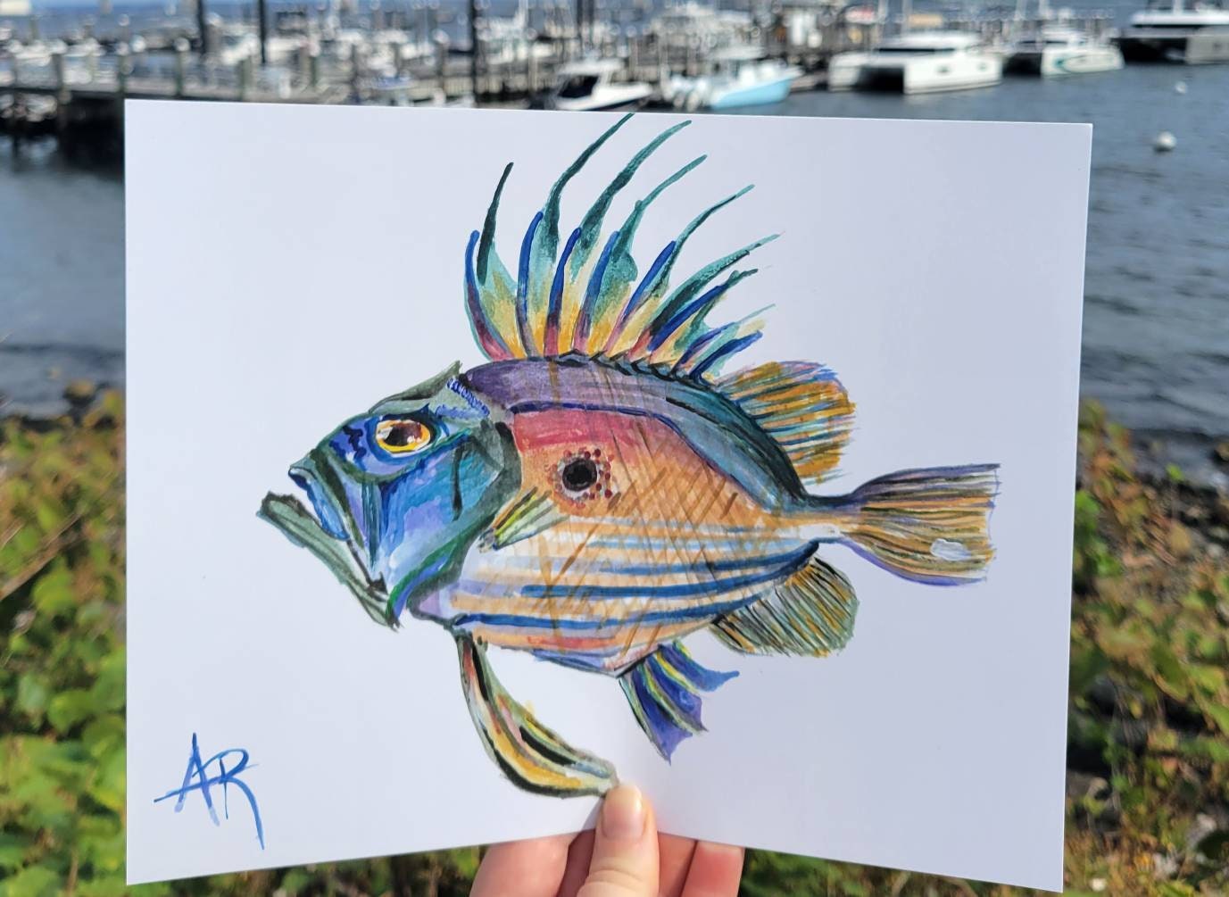 John Dory Acrylic Painting (print) - Etsy