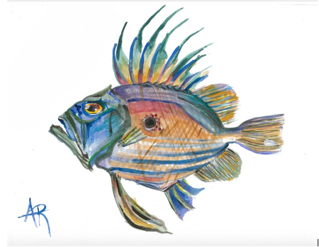 John Dory Acrylic Painting (print) - Etsy