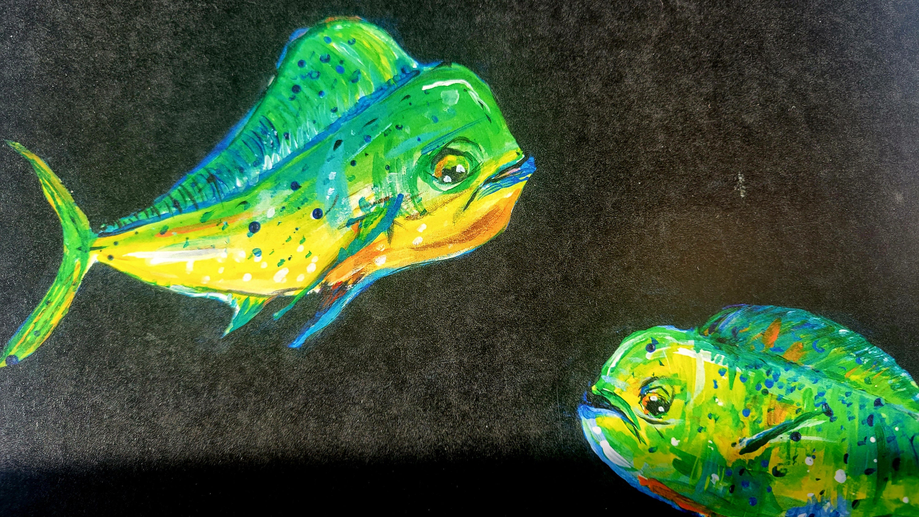 Mahi Mahi Print - Etsy