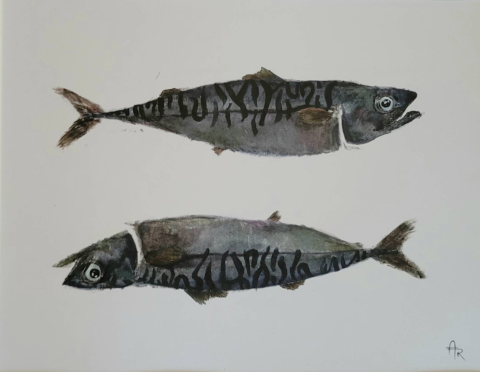 Mackerel Duo 8'' X 10'' Print of a Gyotaku Fish Impression - Etsy