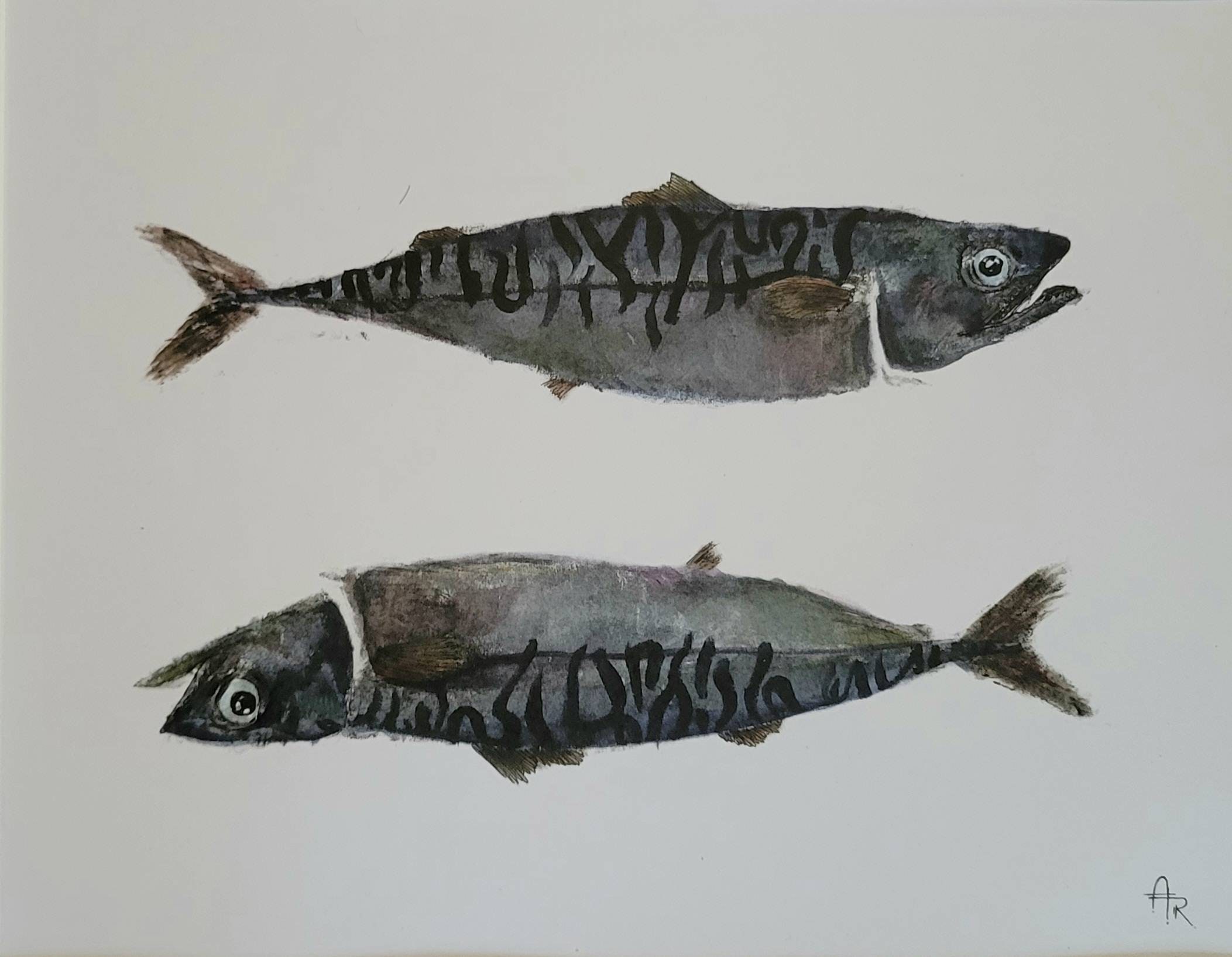 Mackerel Duo 8'' X 10'' Print of a Gyotaku Fish Impression - Etsy