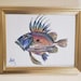 John Dory Acrylic Painting (print) - Etsy