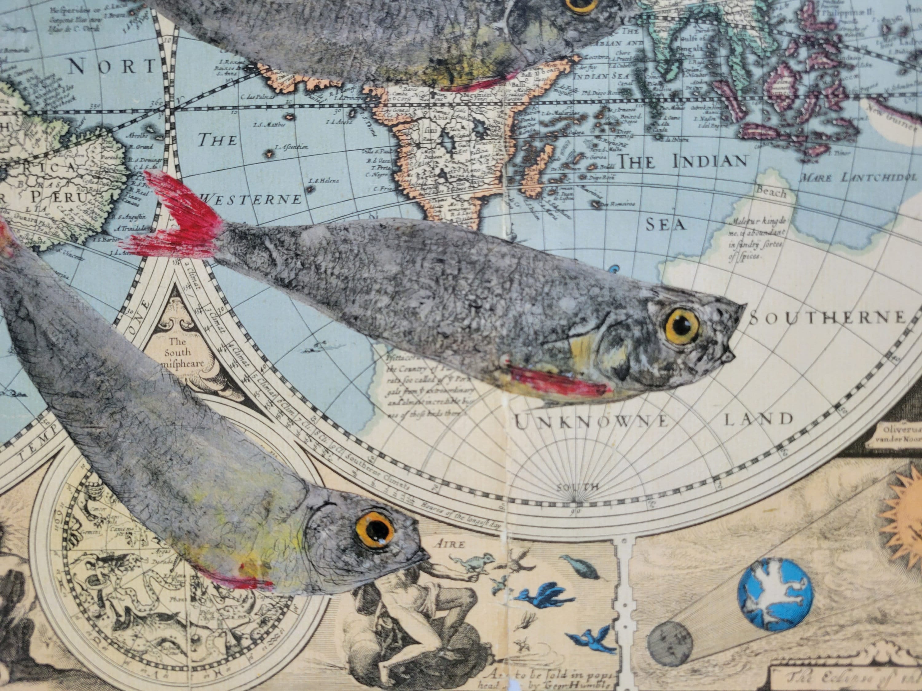 Sardines of the World, Antique Map Print - Etsy