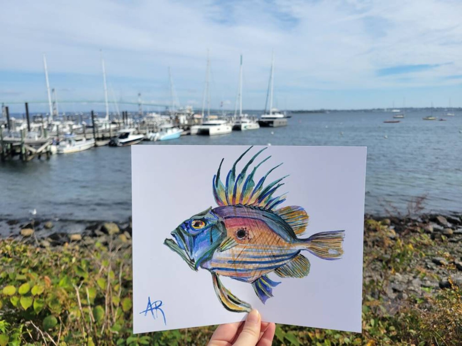 John Dory Acrylic Painting (print) - Etsy