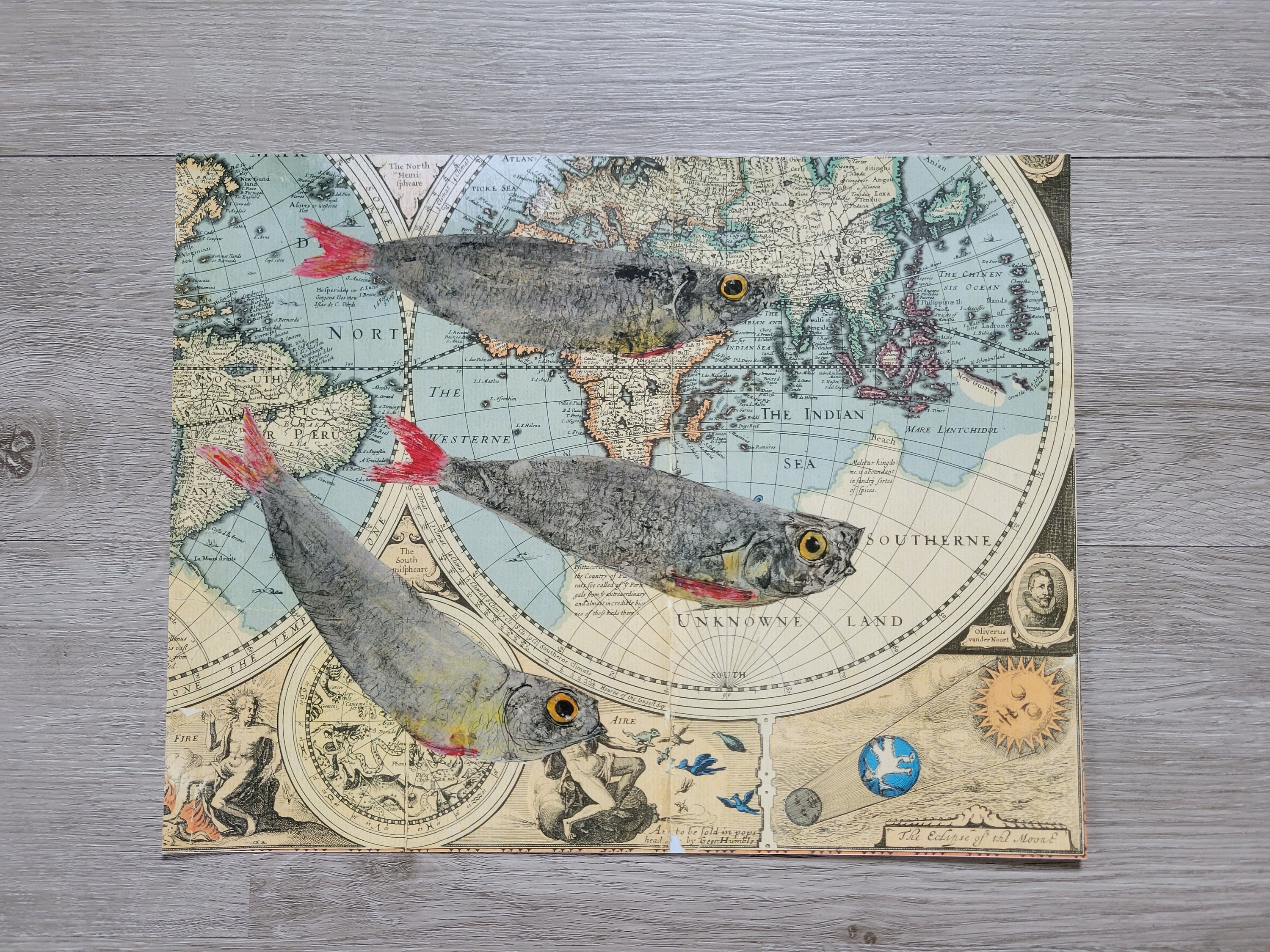 Sardines of the World, Antique Map Print - Etsy