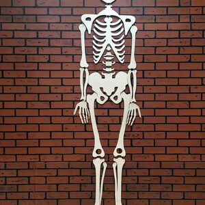 Large Realistic Hanging Skeleton With Posable Joints for Outdoor ...