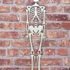 Large Realistic Hanging Skeleton With Posable Joints for Outdoor ...