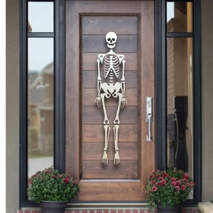 Large Realistic Hanging Skeleton With Posable Joints for Outdoor ...