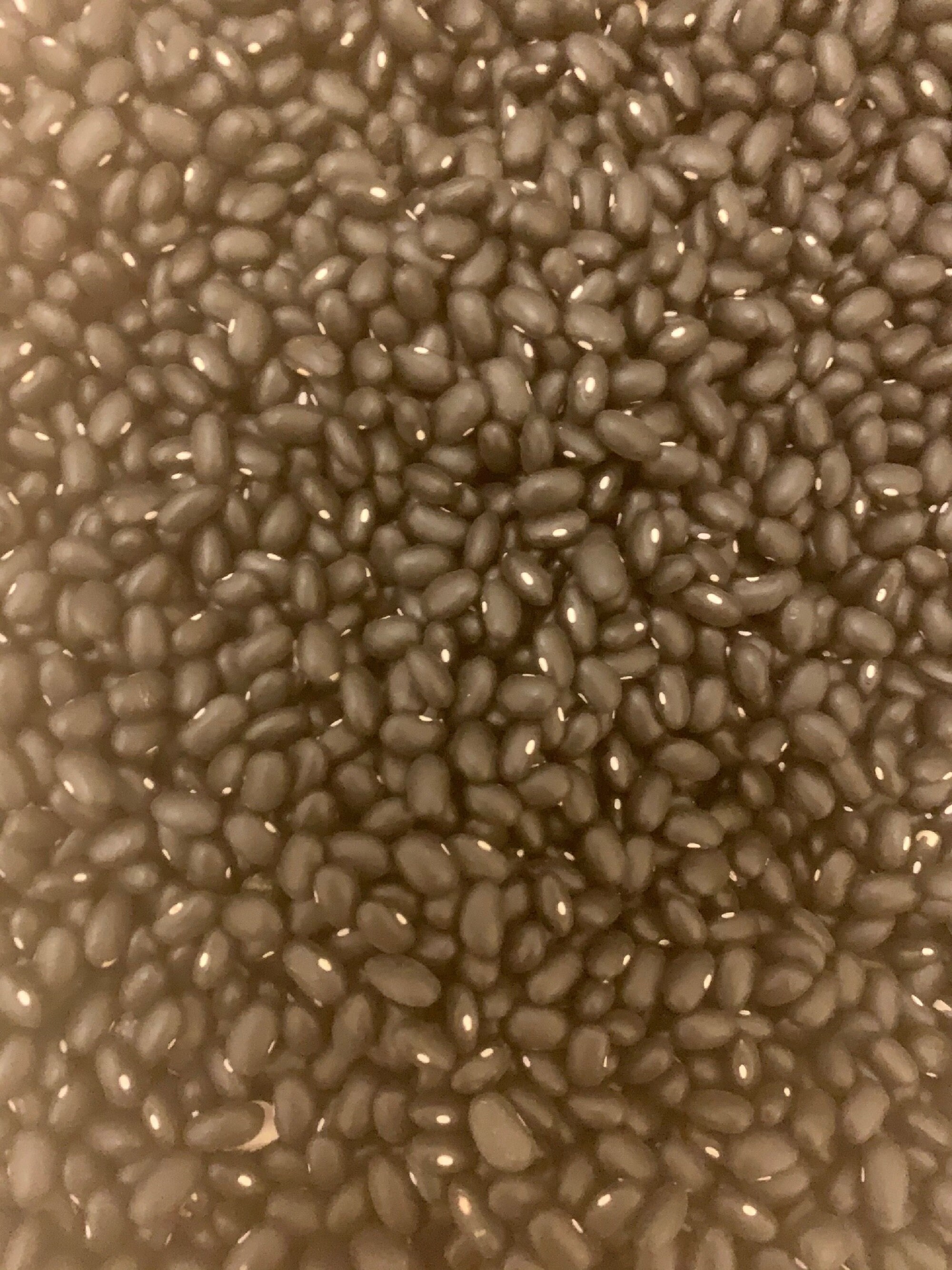 BLACK Turtle Beans Organic Seeds Non-gmo for Planting and Grow Buy More ...