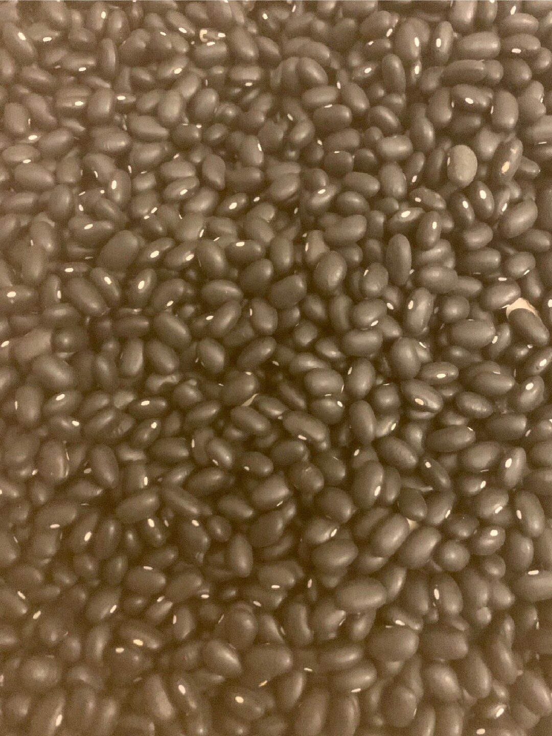 BLACK Turtle Beans Organic Seeds Non-gmo for Planting and Grow Buy More ...