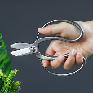 Wazakura Made in Japan Yasugi Stainless Steel Koryu Scissors 6.5" (165 ...