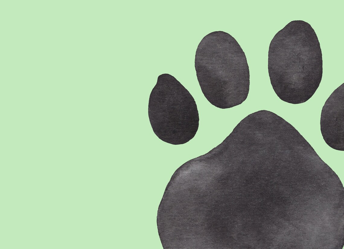 Watercolor Paw Prints Clipart Dog Bear Paw Prints PNG - Etsy