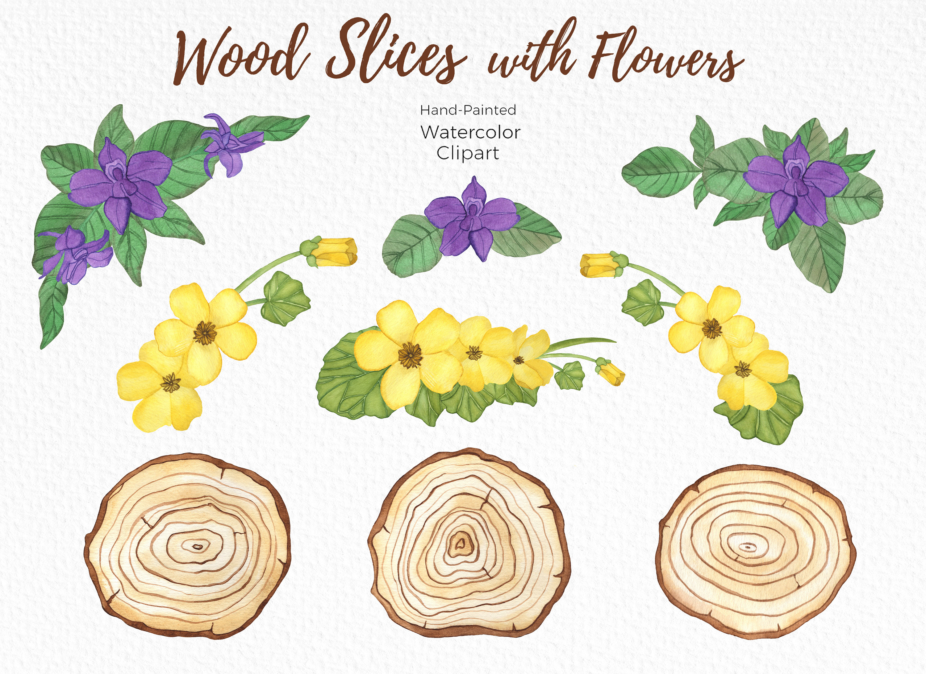 Watercolor Wood Slice Clipart, Violet Yellow Spring Flowers, Rustic ...