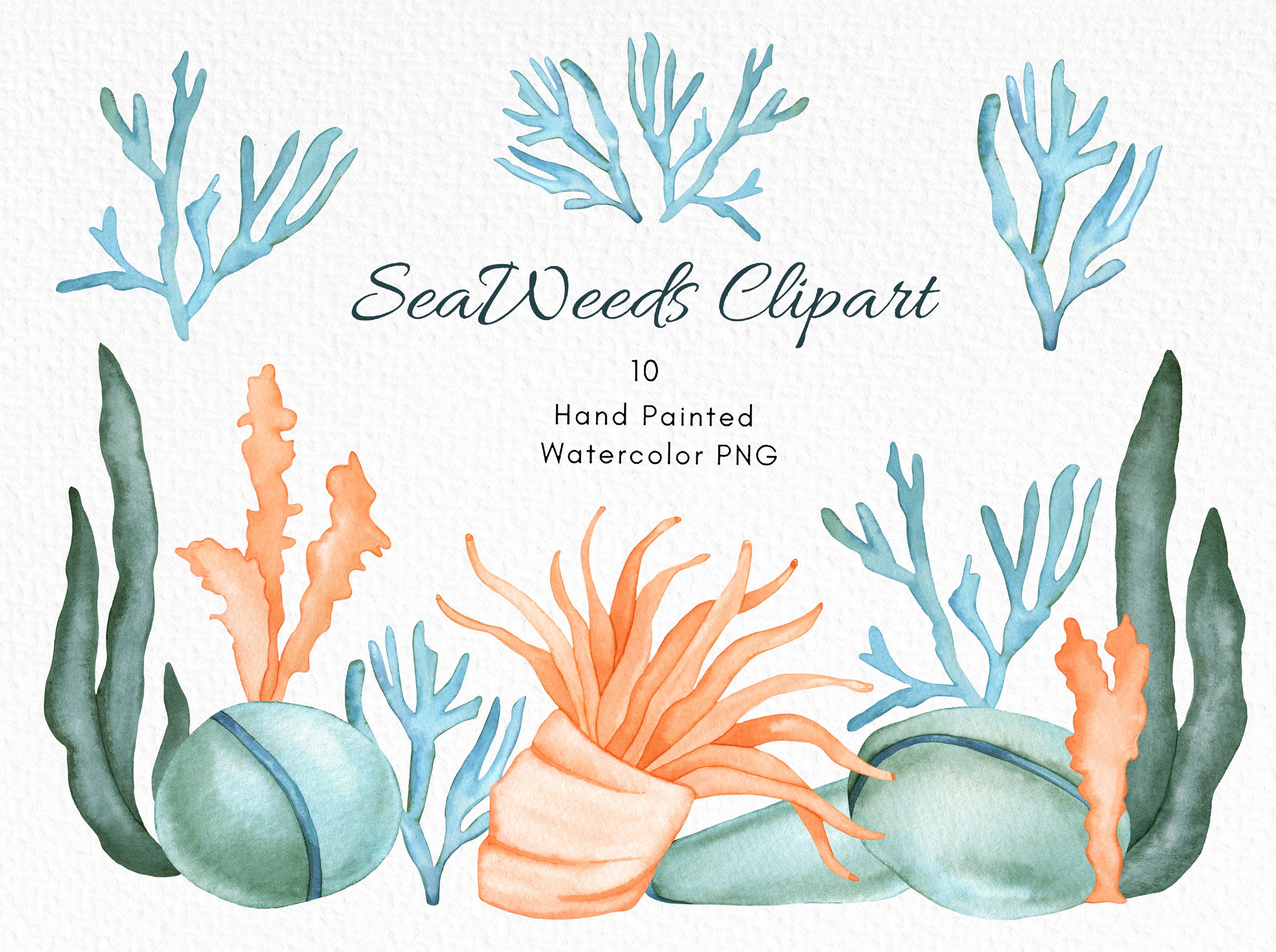 Seaweed Underwater Clipart