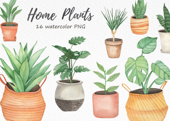 Boho House Plants Clipart Watercolor Greenery Indoor Potted - Etsy
