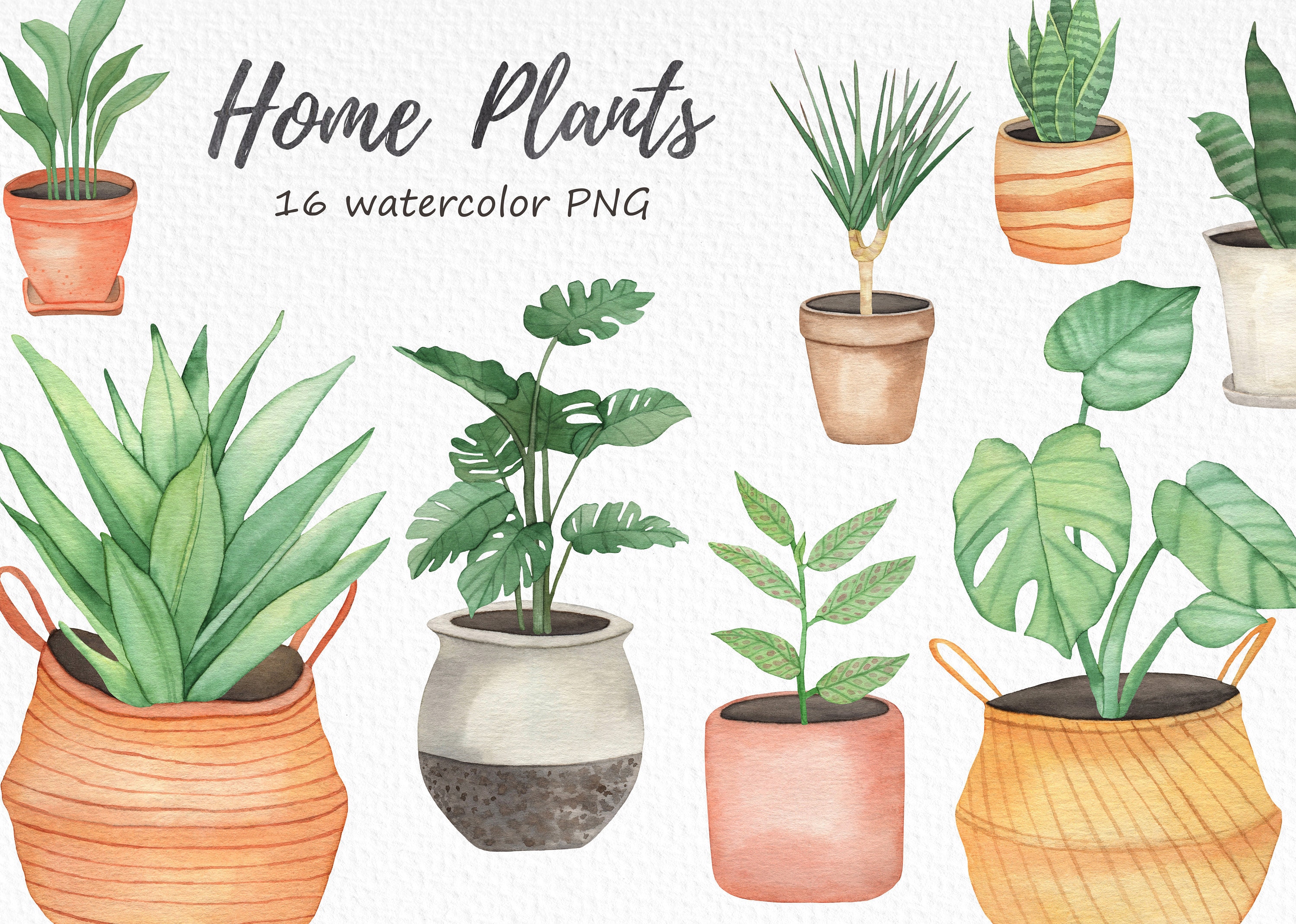 Boho House Plants Clipart Watercolor Greenery Indoor Potted - Etsy