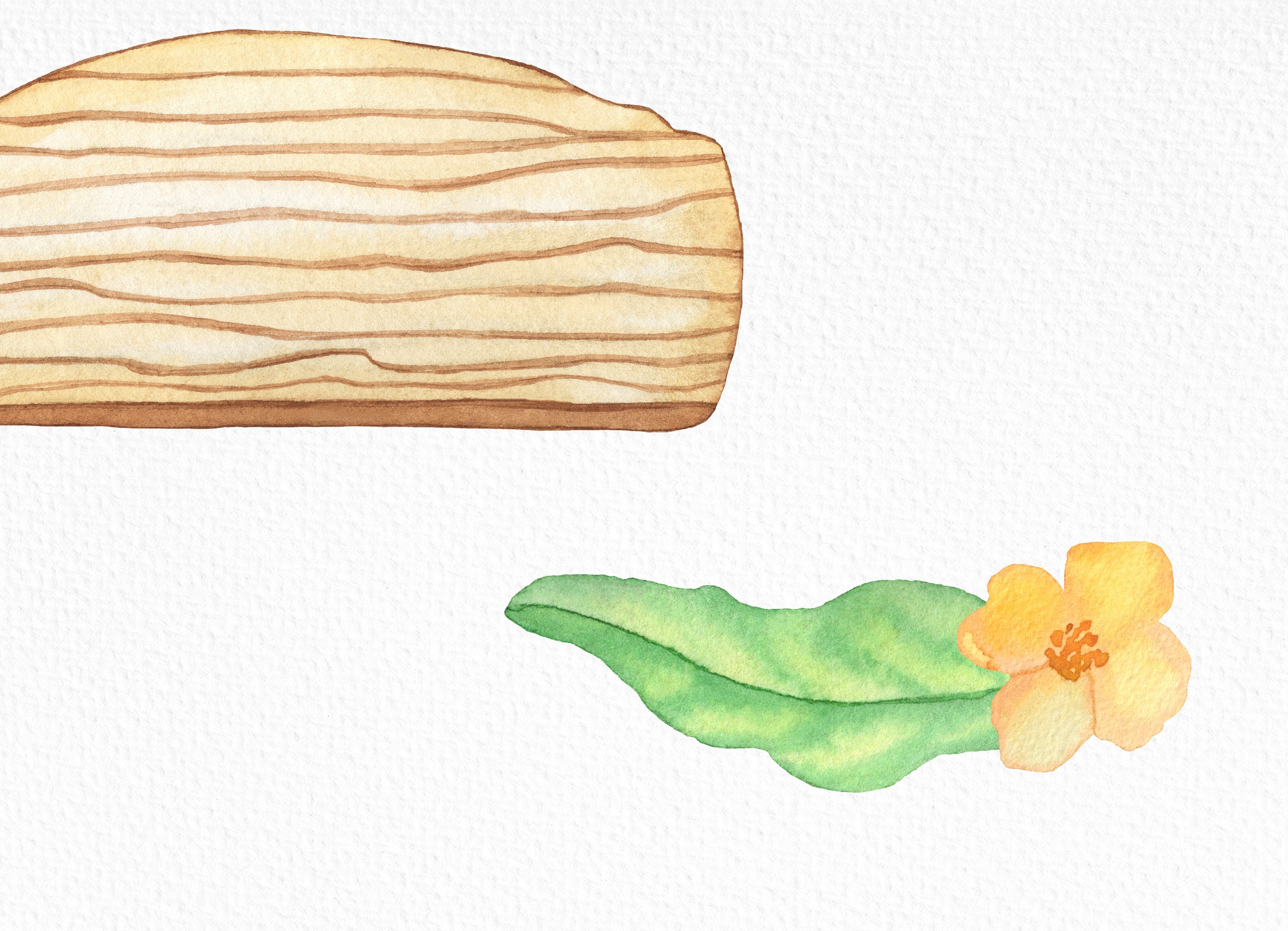 Watercolor Wooden Signs Clipart, Wooden Boards and Arrow, Rustic ...