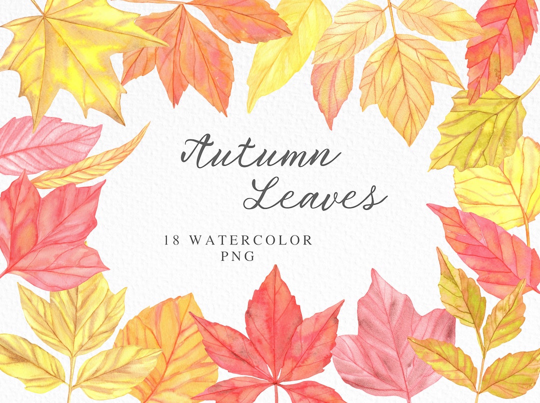 Watercolor Autumn Leaves Clipart, Fall Leaves PNG, Thanksgiving Clipart ...