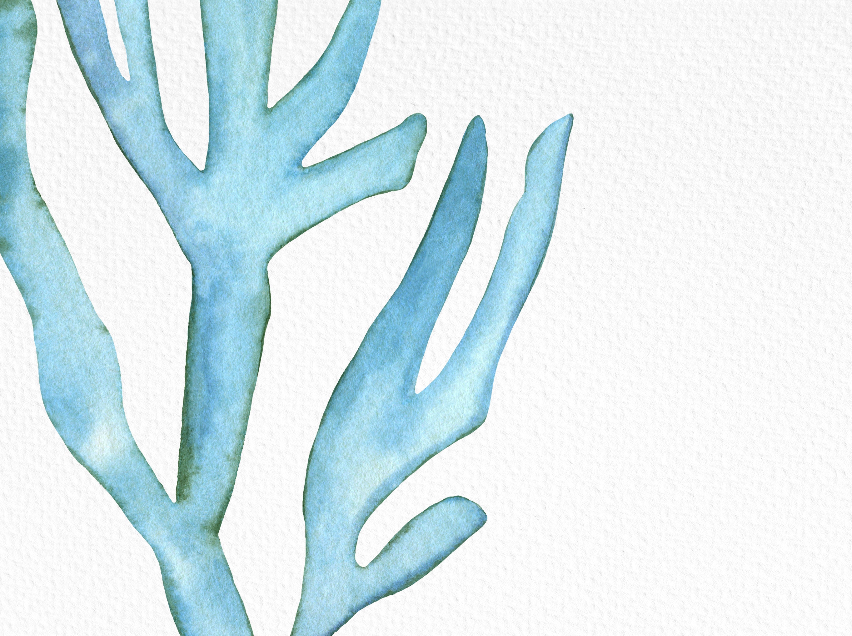 Watercolor Underwater Seaweed Clipart, Marine Plants, Corals, Sea ...